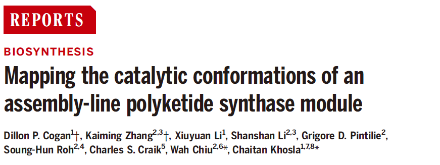 Science | Wah Chiu/ Chaitan Khosla合作揭示聚酮合酶（PKS）的结构新细节-药选址