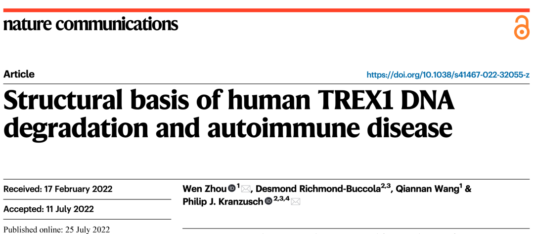 Nat Commun | 周稳团队揭示人类TREX1降解DNA和疾病相关突变致病机理-药选址