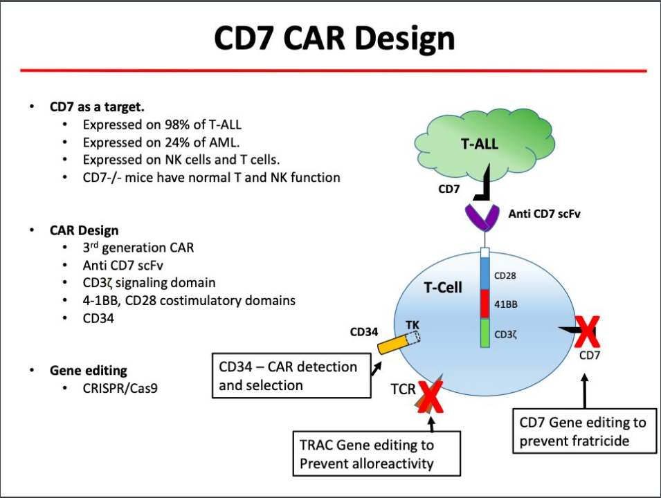 盘点丨CD7 CAR-T疗法研发难点及在研项目-药选址