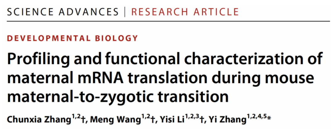 Sci Adv | 张毅组揭示小鼠早期胚胎发育中的mRNA翻译图谱-药选址